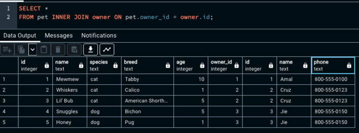 GitHub - learn-co-curriculum/sql-v3-sql-join