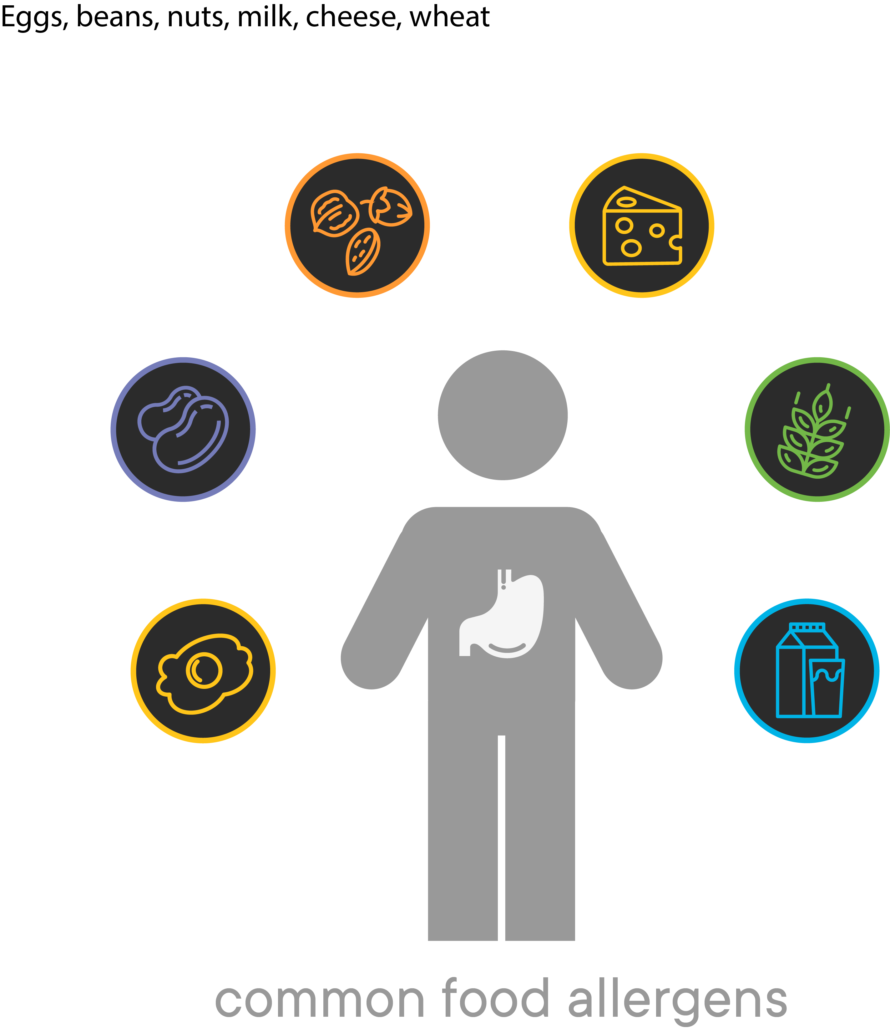 GitHub - adam-larosa/oo-python-recipe-project